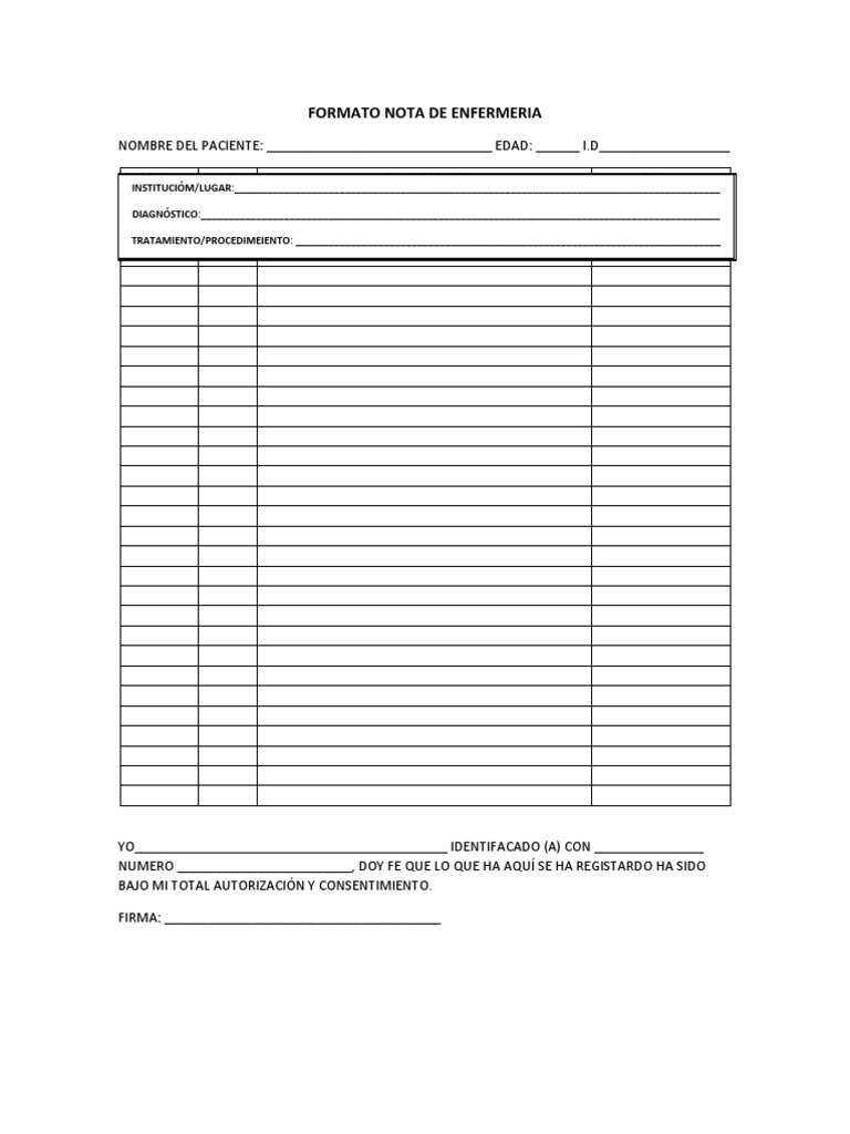Formato Nota de Enfermeria | PDF