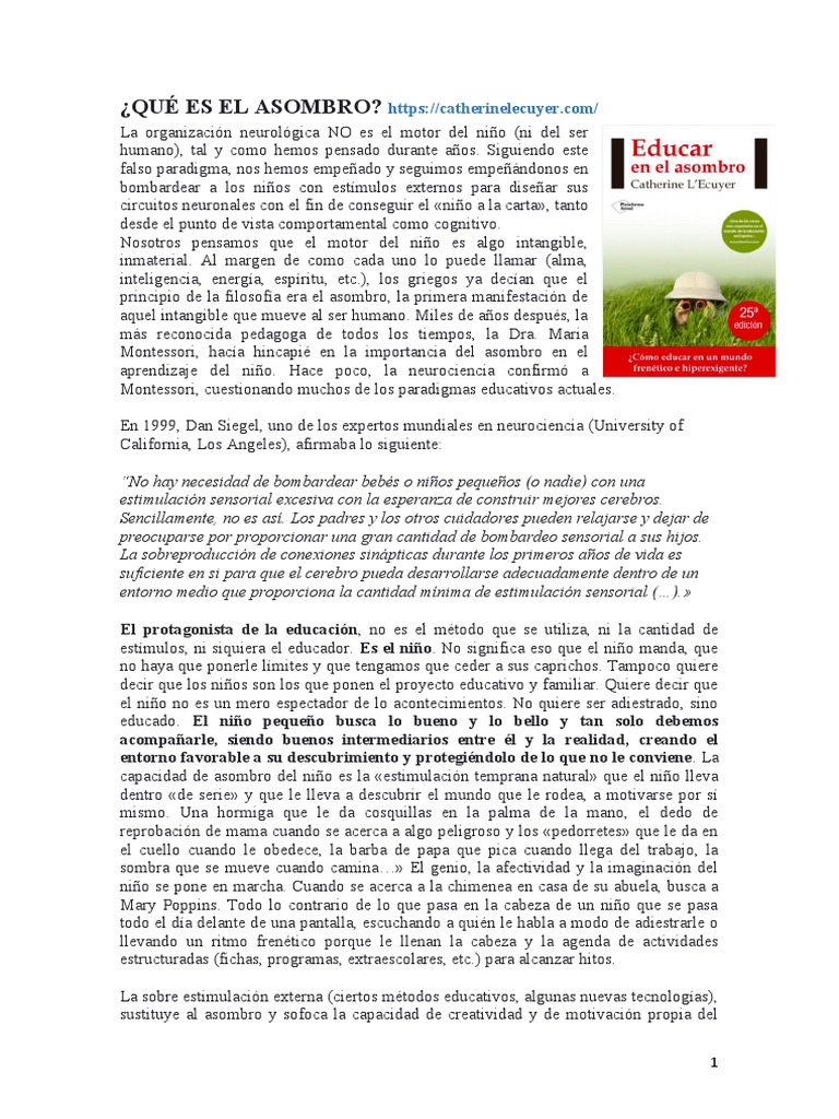 ¿Qué Es El Asombro? | PDF | Aprendizaje | Teoría de apego