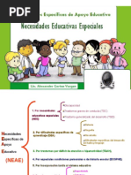 Esquema NEAE | PDF | Espectro autista | Desorden hiperactivo y deficit de atencion