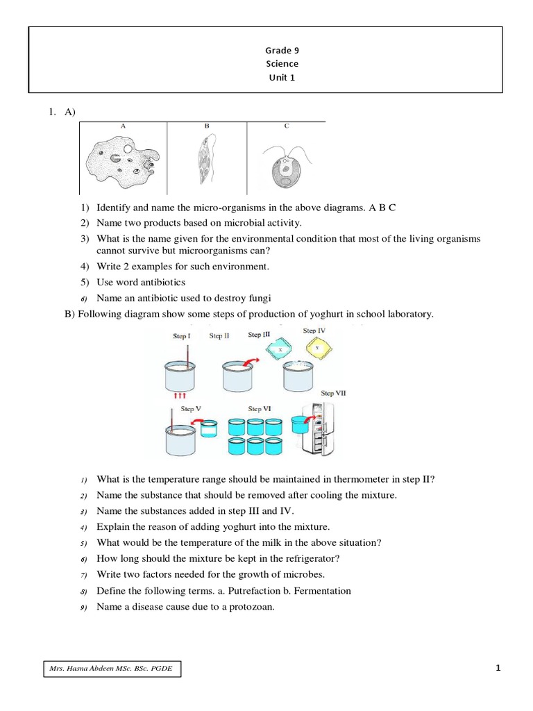 Science Paper Grade 9 | PDF | Eye | Microorganism