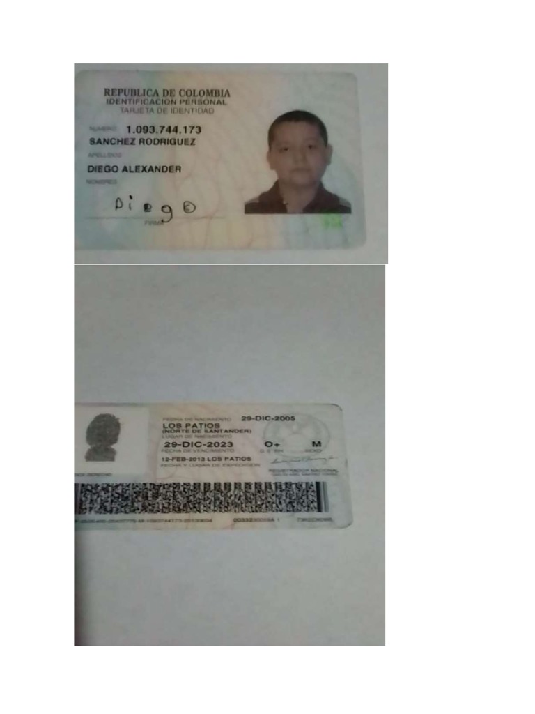 Documento Diego | PDF