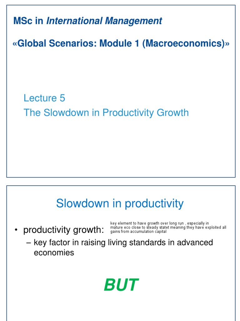 The Slowdown in Productivity Growth: MSC in International Management ...