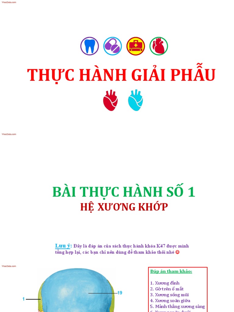 (YhocData - Com) Thuc Hanh Giai Phau | PDF