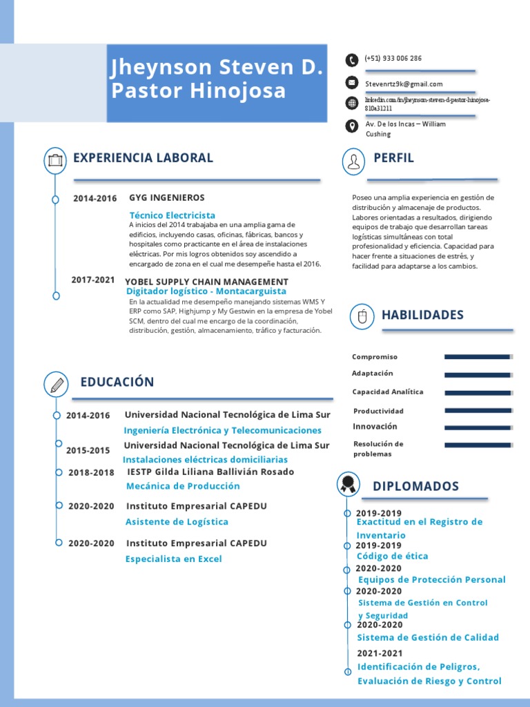 Perfil Profesional en Logística y Electricidad | PDF | Logística ...