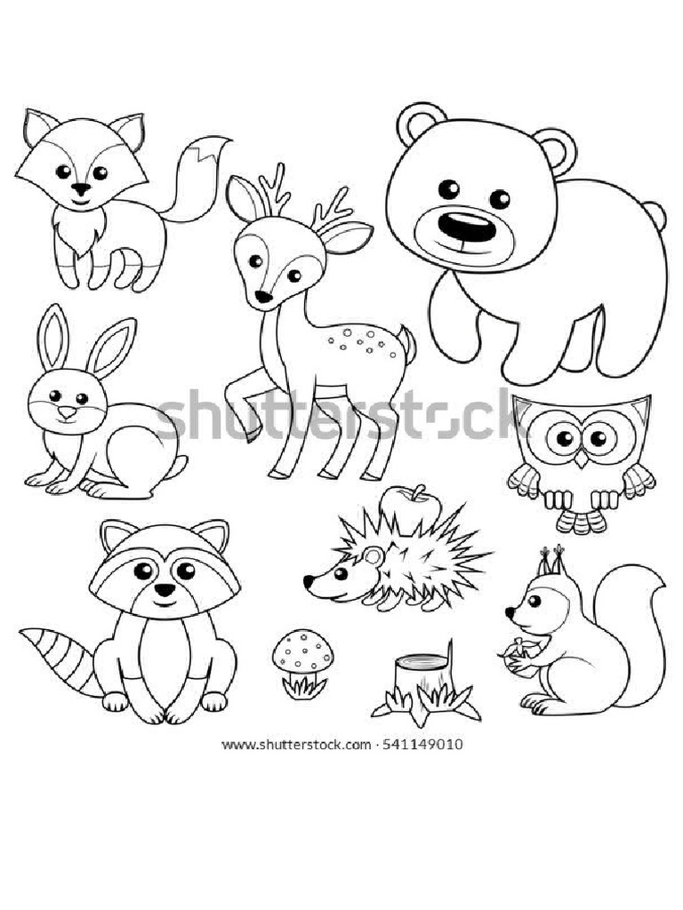 Animale Din Padure de Colorat | PDF