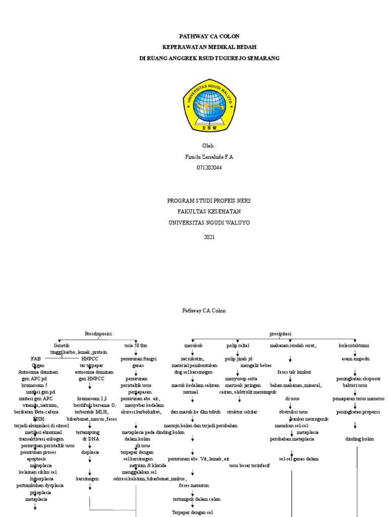 Pathway Ca Colon Finishi | PDF