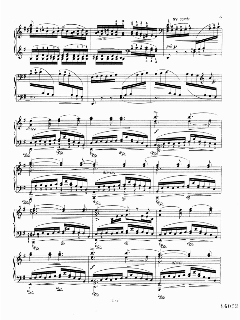 La Moldava | PDF