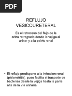 Clasificación de Fimosis Kayaba | PDF | Mamíferos machos | Pene