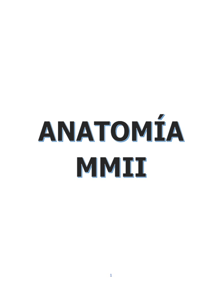 Anatomia MMII | PDF | Rodilla | Articulación