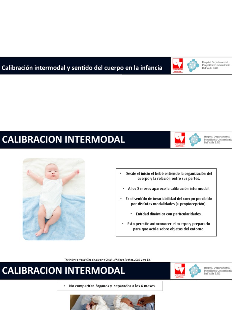 Bebe 1 | PDF | Procesos mentales | Cognición