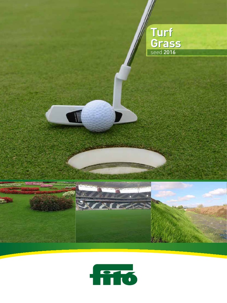 Turf Grass | PDF | Lawn | Plants