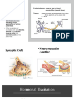 PHTLS Study Guide/Notes | PDF | Major Trauma | Shock (Circulatory)