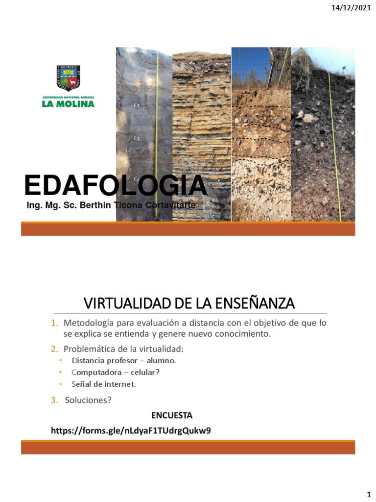 Edafologia Intro | PDF | Roca (geología) | Suelo