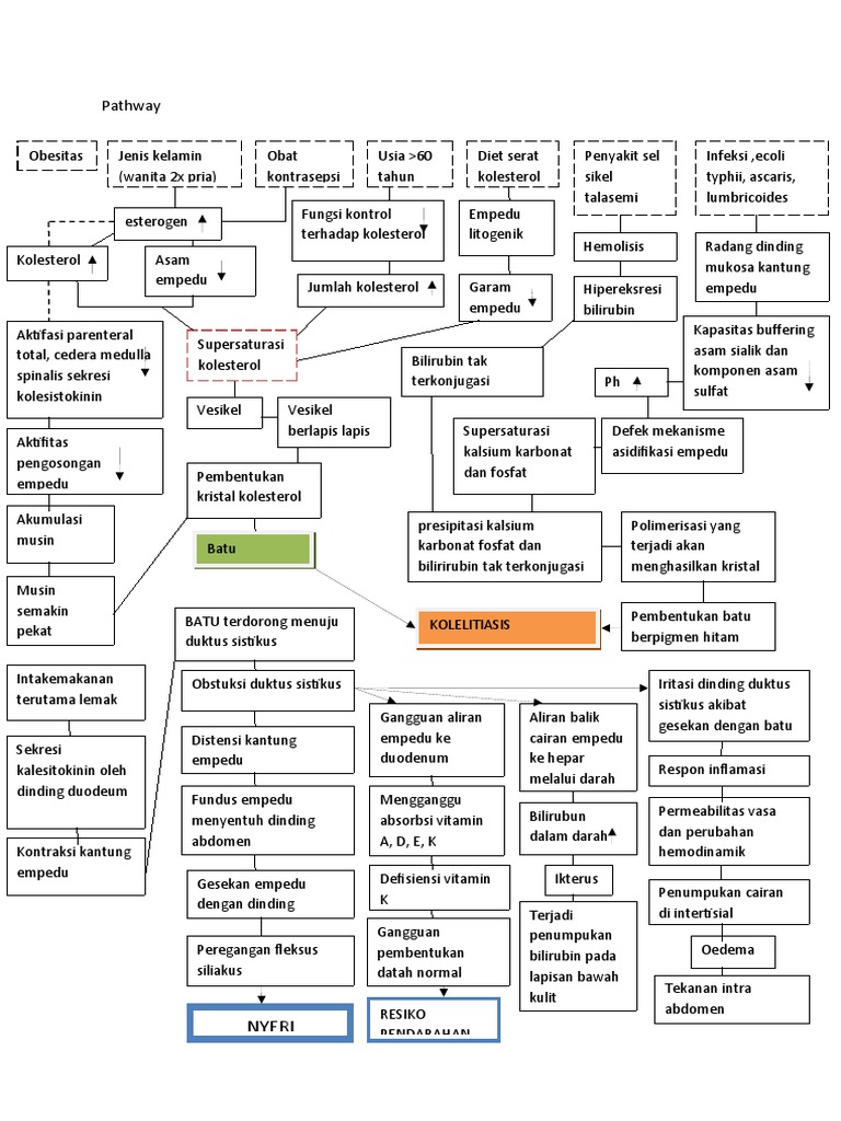 Pathway Kolelitiasis | PDF