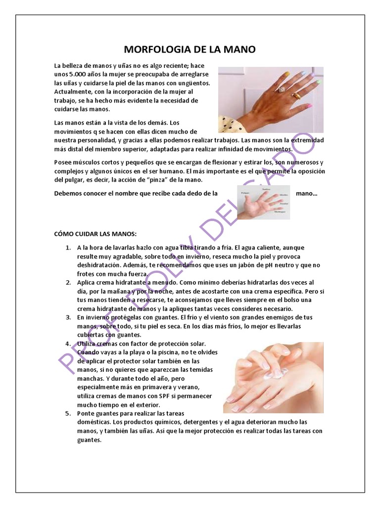 Morfologia de La Mano | Descargar gratis PDF | Clavo (anatomía) | Mano