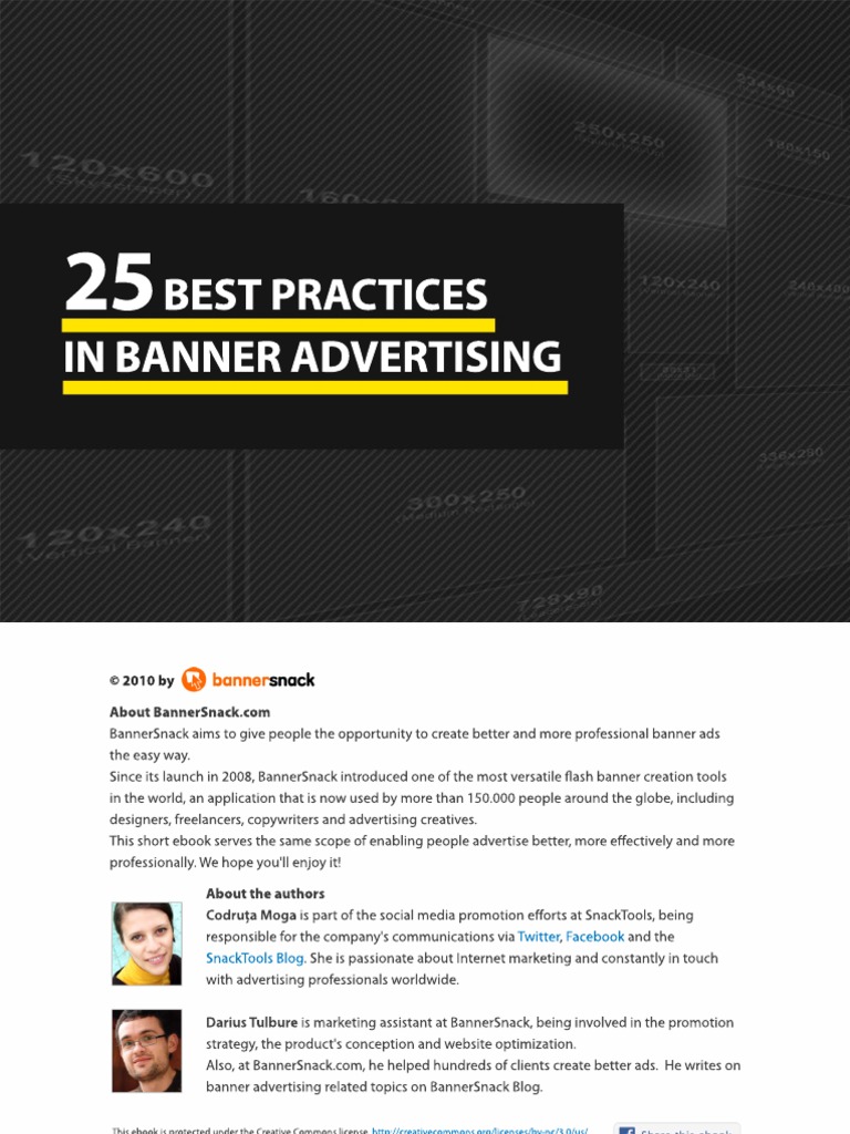 25 Best Practices in Banner Advertising | PDF