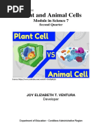 Unicellular and Multicellular Worksheet | PDF | Cell (Biology) | Organisms