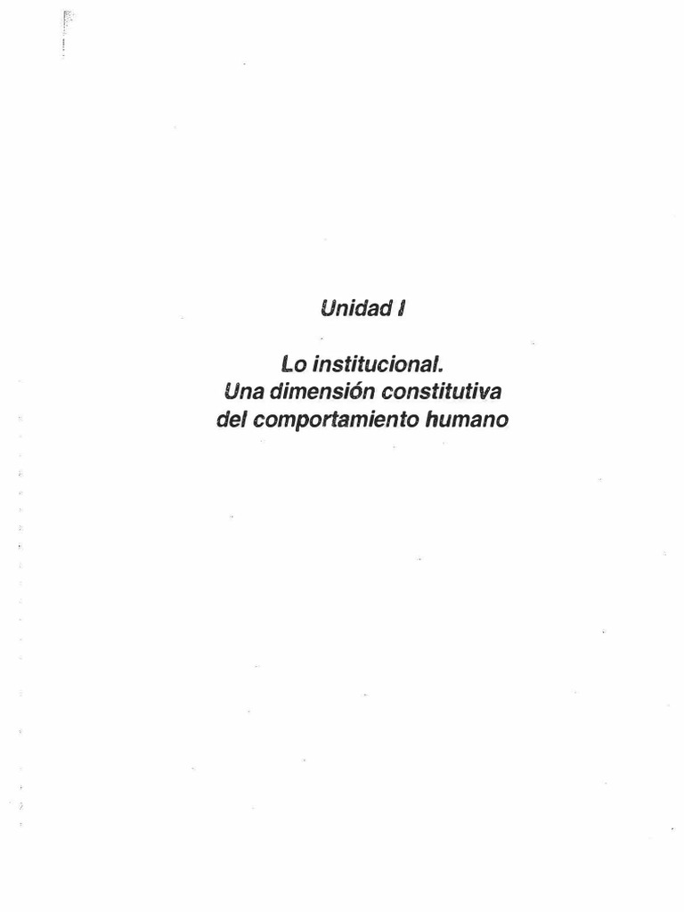 12 Lidia Fernandez Concepto de Institución | PDF | Institución | Realidad