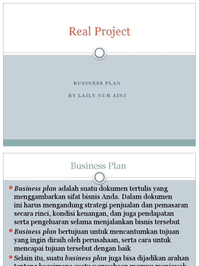 Real Project Business Plan | PDF