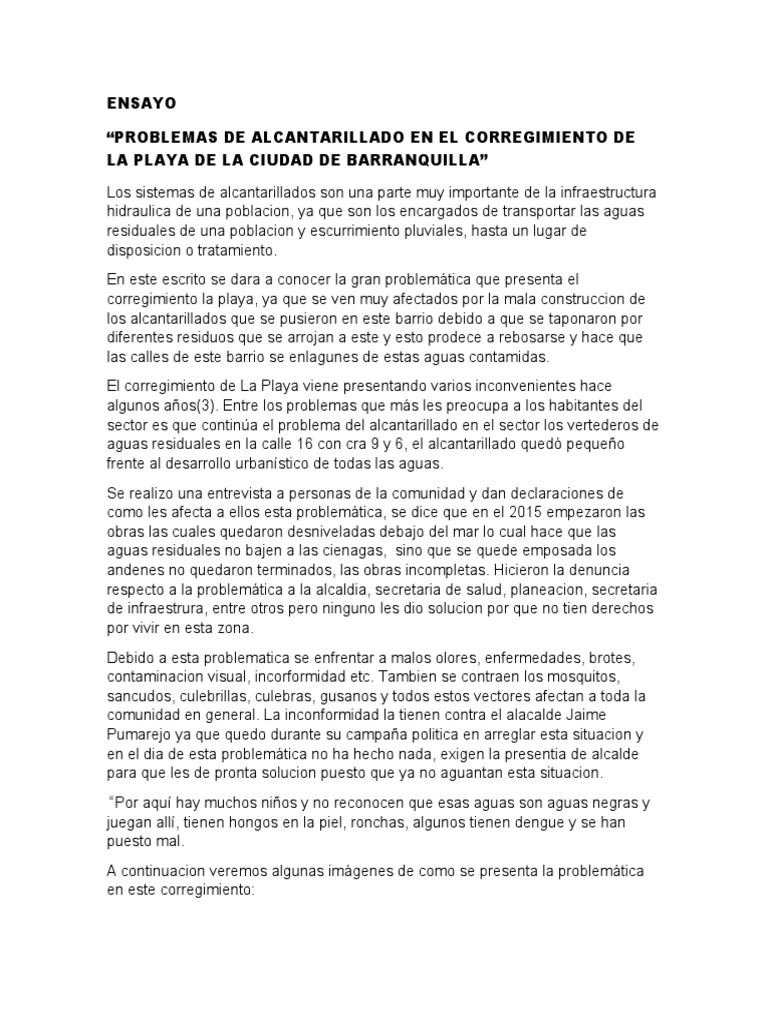 Ensayo Problematica de Alcantarillado en El Corregimiento de La Playa Yeidy Danniela Sevillano ...
