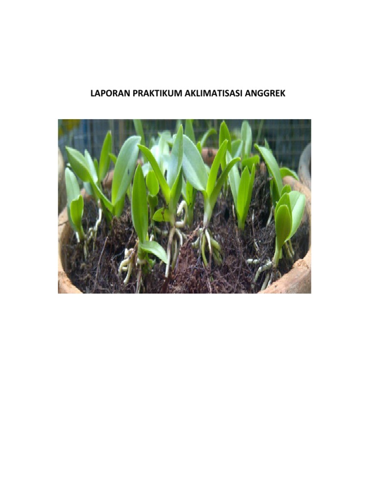 Aklimatisasi Anggrek | PDF | Sains & Matematika