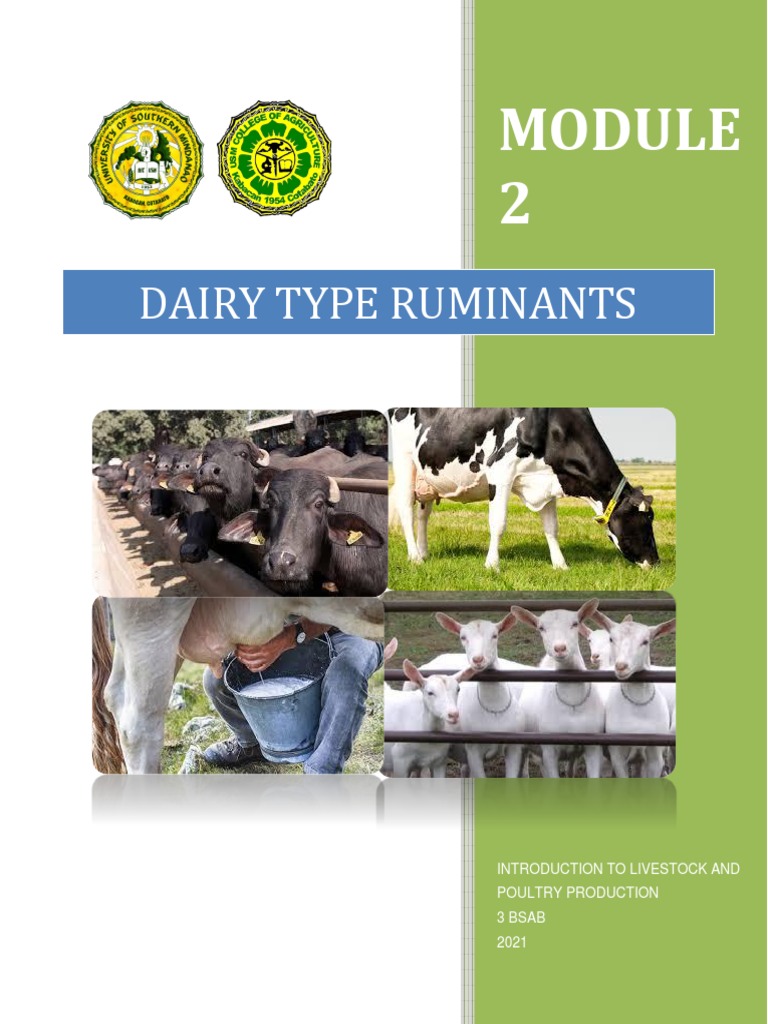 ASS 122 - Module 2 Breeds of Dairy Cattle | Download Free PDF | Cattle ...