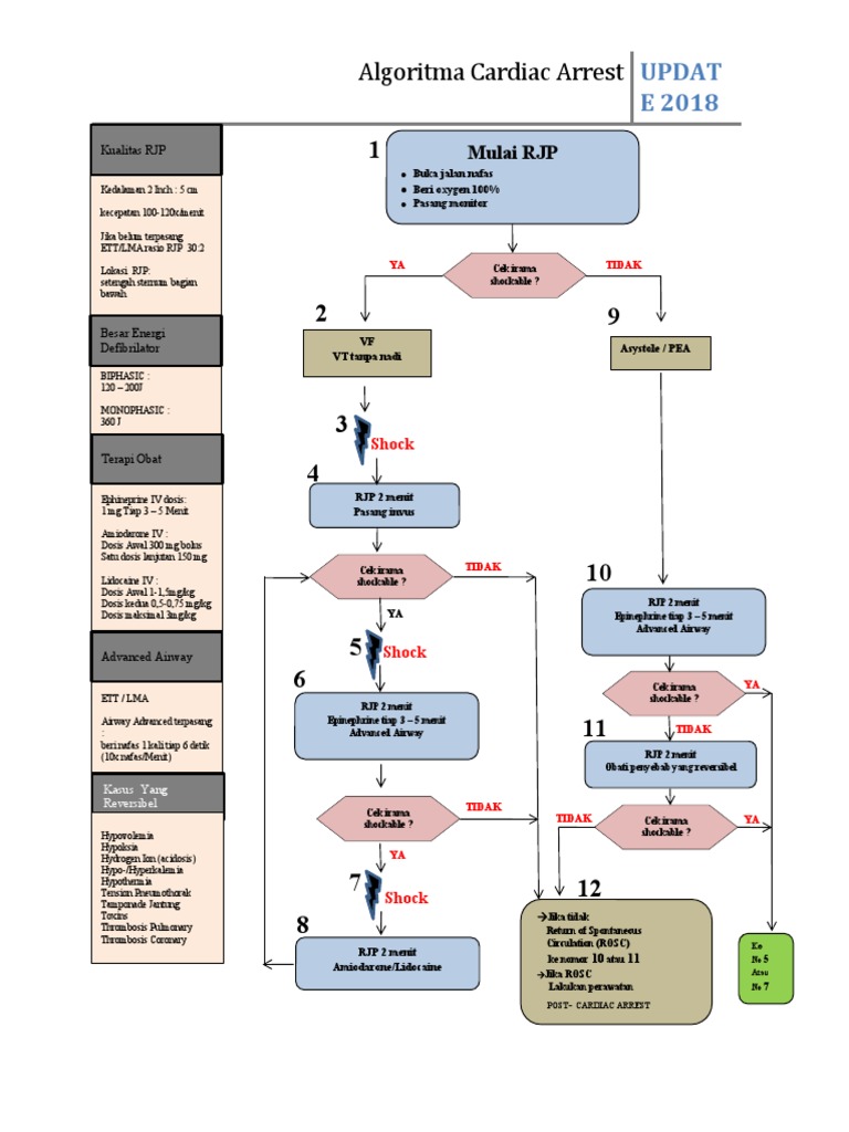 Tatalaksana Cardiac Arrest dan VT | PDF