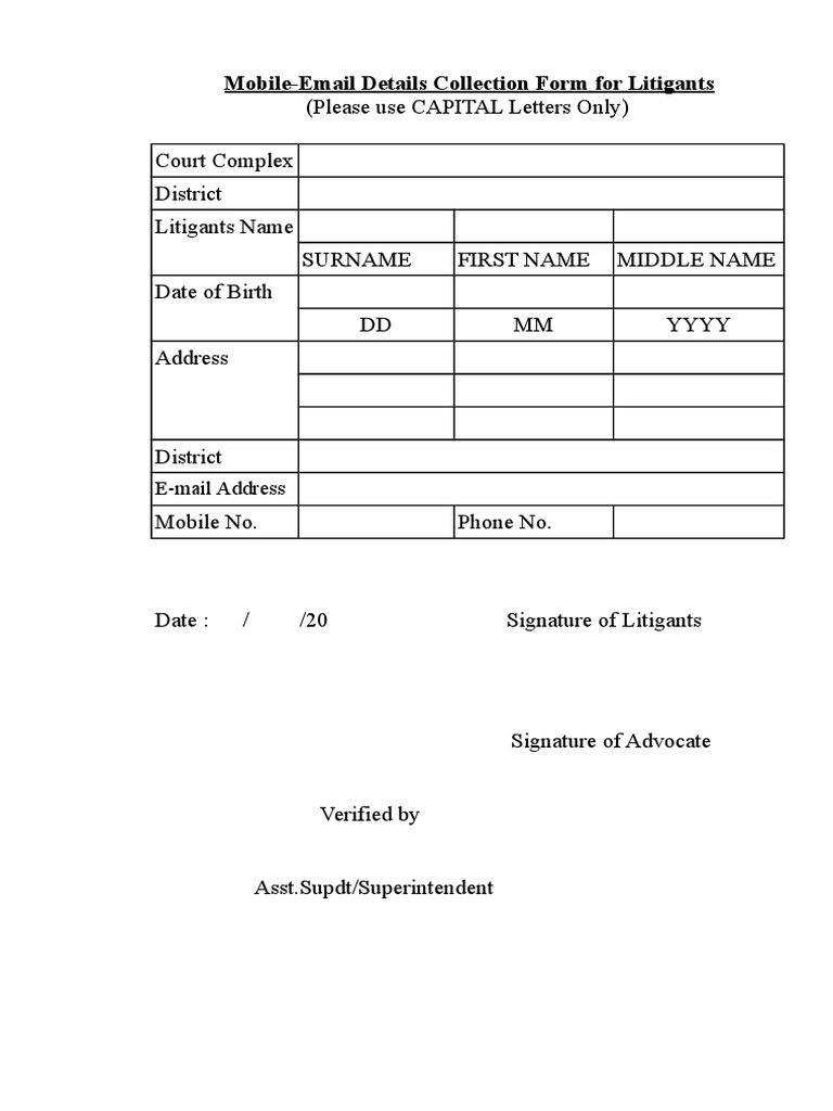 Forms Litigant Form | PDF