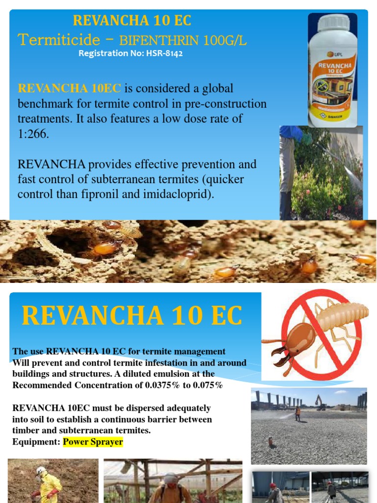 Revancha 10 Ec | PDF