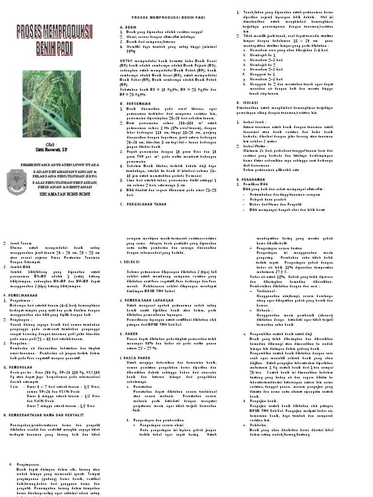 Leaflet Benih Padi | PDF