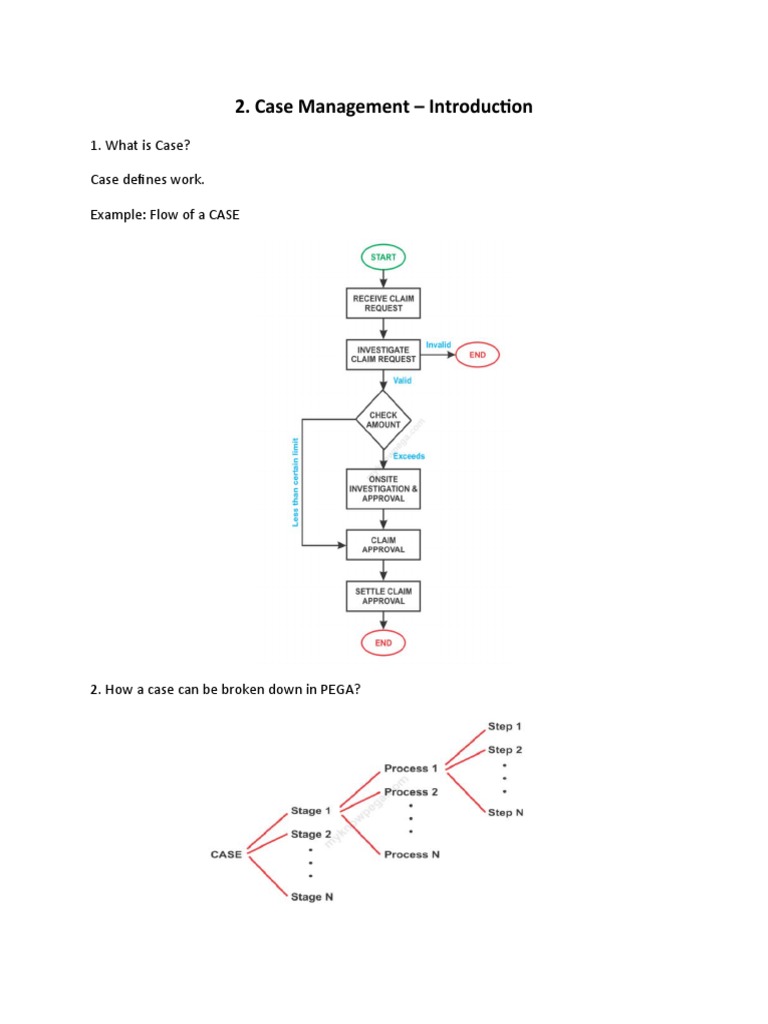 Case Management - Introduction | PDF