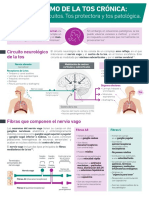 Ángulo de Louis | PDF | Tórax | Anatomía humana