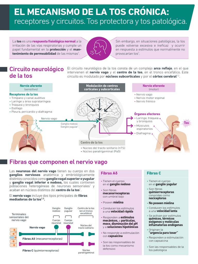 5 20210409 El Mecanismo de La Tos Cronica | PDF | Tos | Dolor