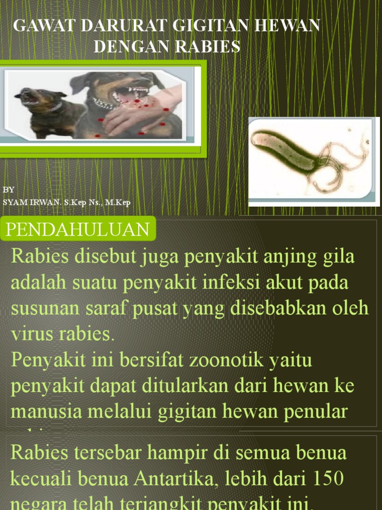 Gawat Darurat Gigitan Hewan Mengandung Rabies | PDF