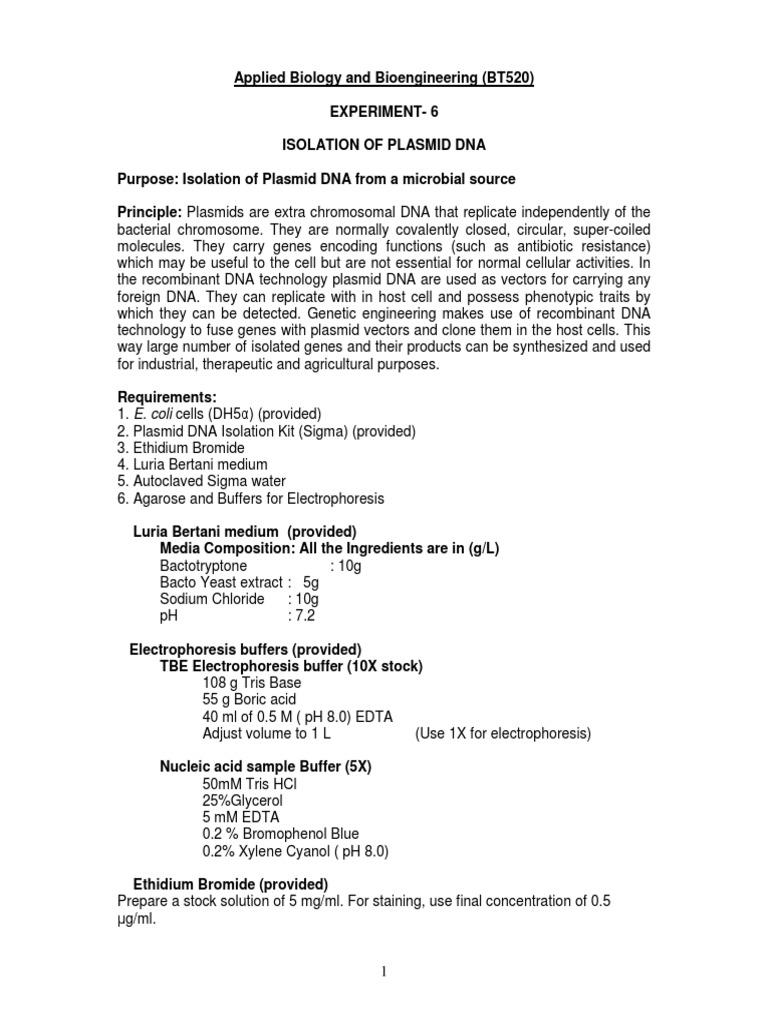 Plasmid DNA Isolation Protocol | PDF | Agarose Gel Electrophoresis ...