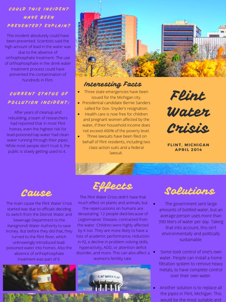 Flint Water Crisis: Interesting Facts | PDF | Flint Water Crisis ...