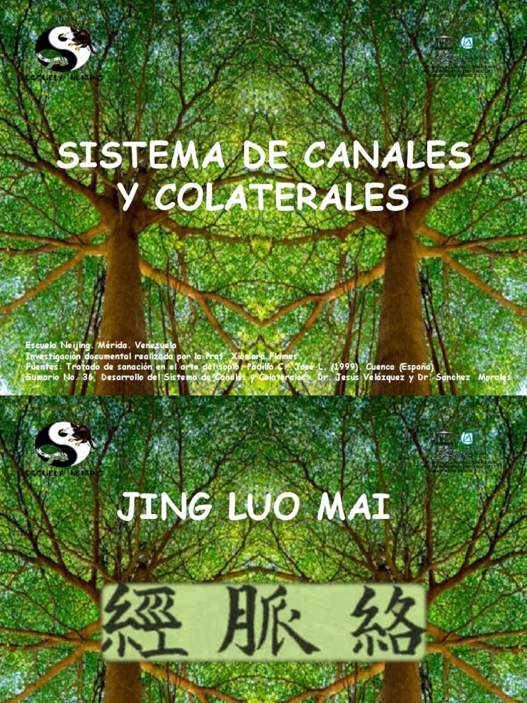 La naturaleza y función de los Canales y Colaterales (Jing Luo Mai) según la medicina ...