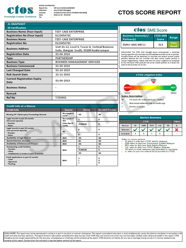 SAMPLE - Business CTOS SME Score Report | PDF