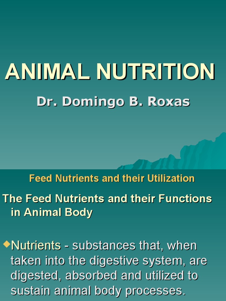 Animal Nutrition Lecture | PDF | Carbohydrates | Vitamin