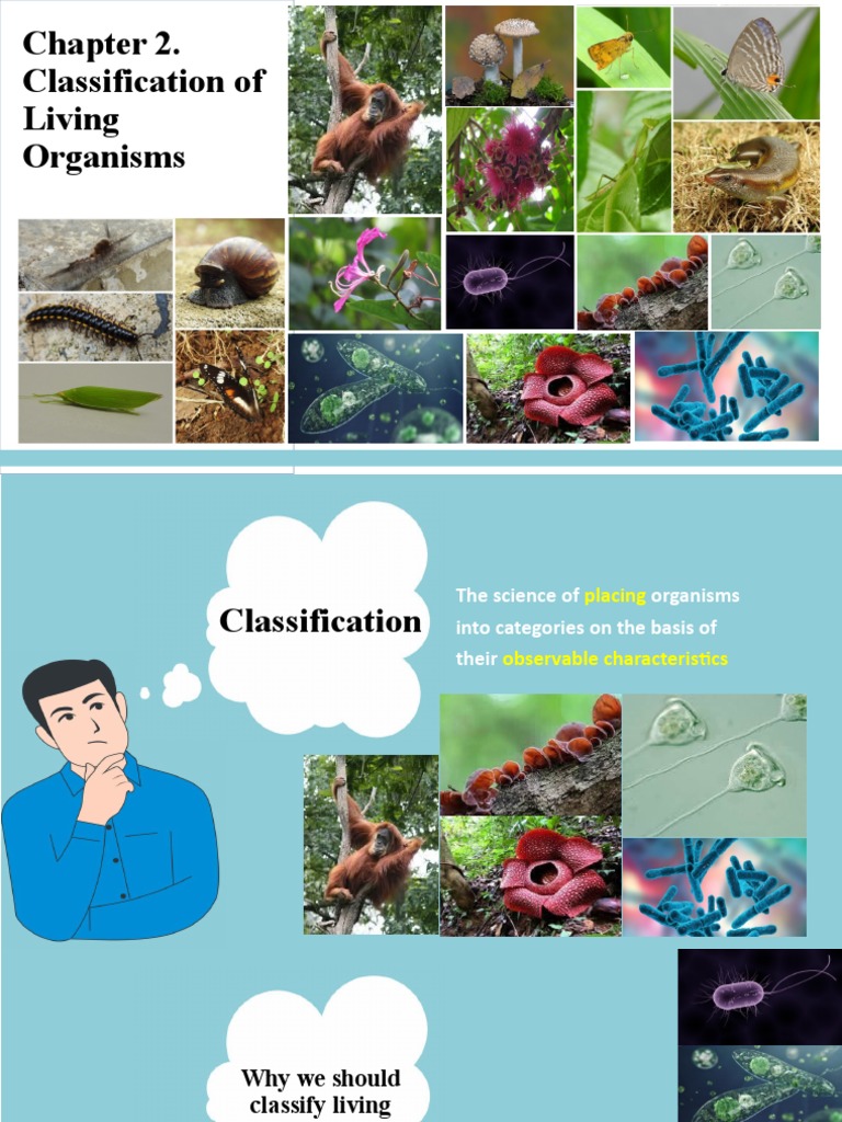 Chapter 2. Classification of Living Organisms | PDF | Taxonomy (Biology ...