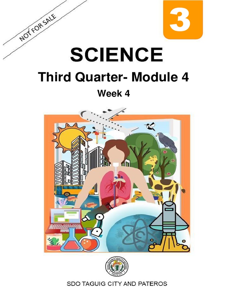 Third Quarter-Module 4: Week 4 | PDF | Light | Lighting
