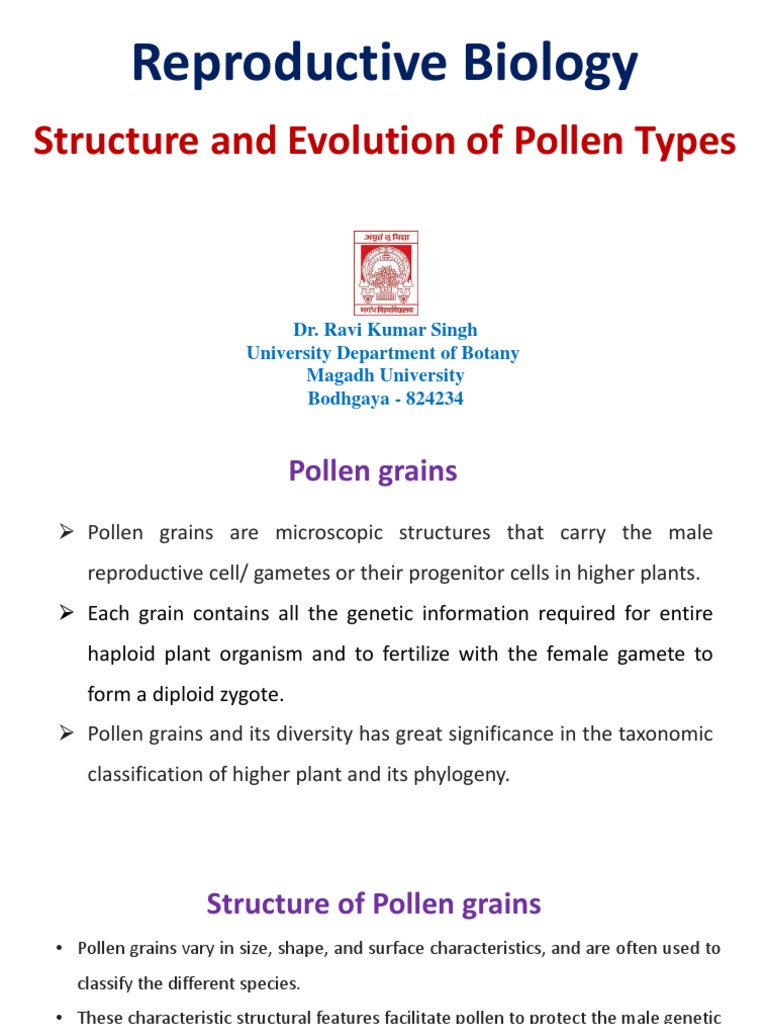 Pollen Structure and Evolution Insights | PDF | Pollen | Cell (Biology)