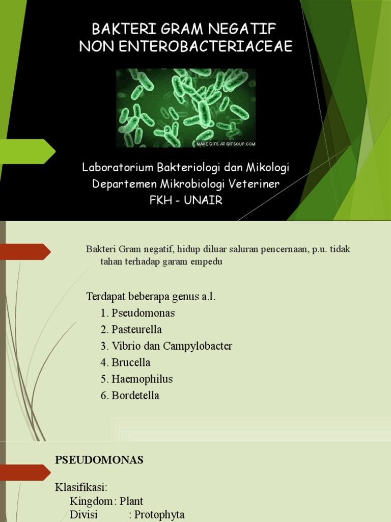 BAKTERI GRAM NEGATIF NON ENTEROBACTERIACEAE 2021 Fix | PDF