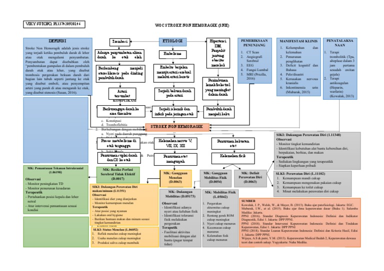 WOC SNH - Viky Sutopo - P1337420920146 | PDF