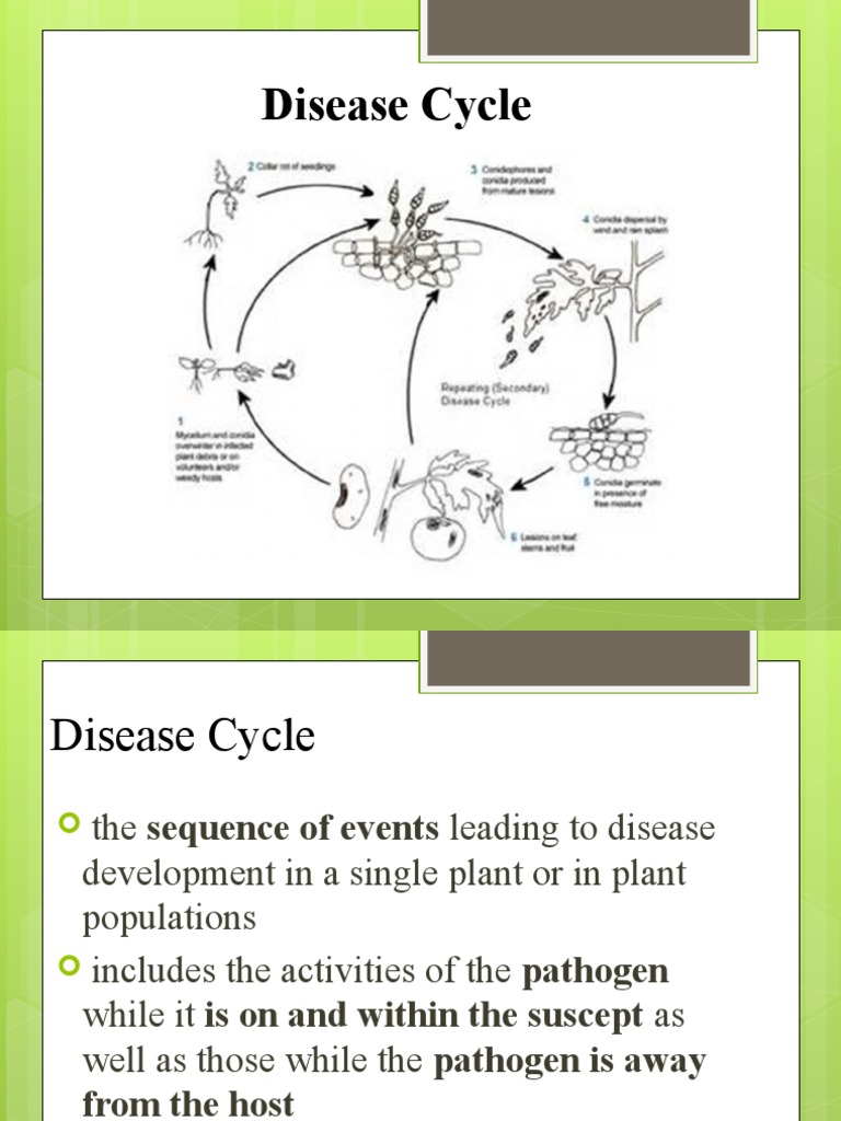 +disease Cycle and Epidem | PDF | Infection | Epidemics