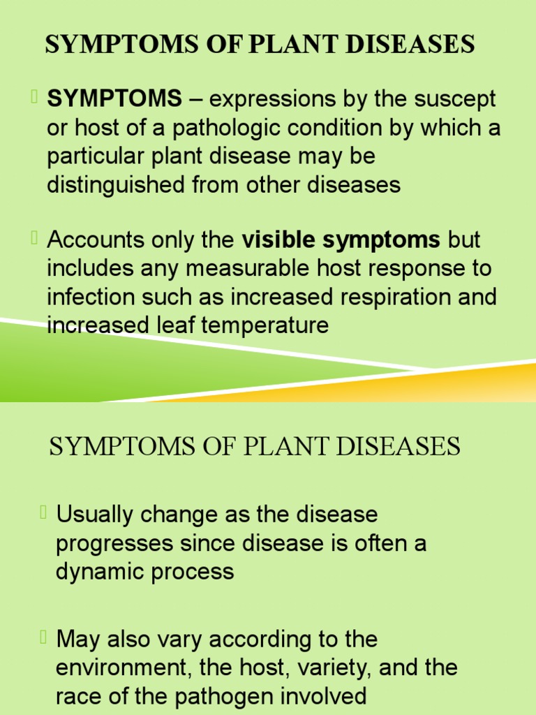 Symptoms of Plant Diseases Explained | PDF | Leaf | Branches Of Botany