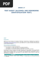Auditoría C en Español | PDF | Bebidas alcohólicas | Alcoholismo