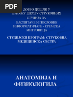PREDAVANJE 6 1. Kolokvijum Anatomija | PDF