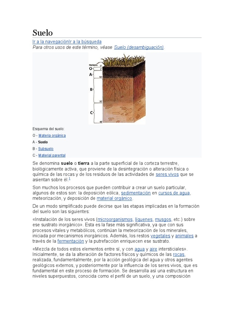 Suelo | PDF | Suelo | Ciencias de la Tierra