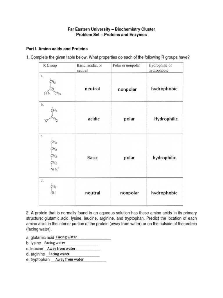 Problem Set Proteins and Enzymes | PDF | Enzyme Inhibitor | Amino Acid